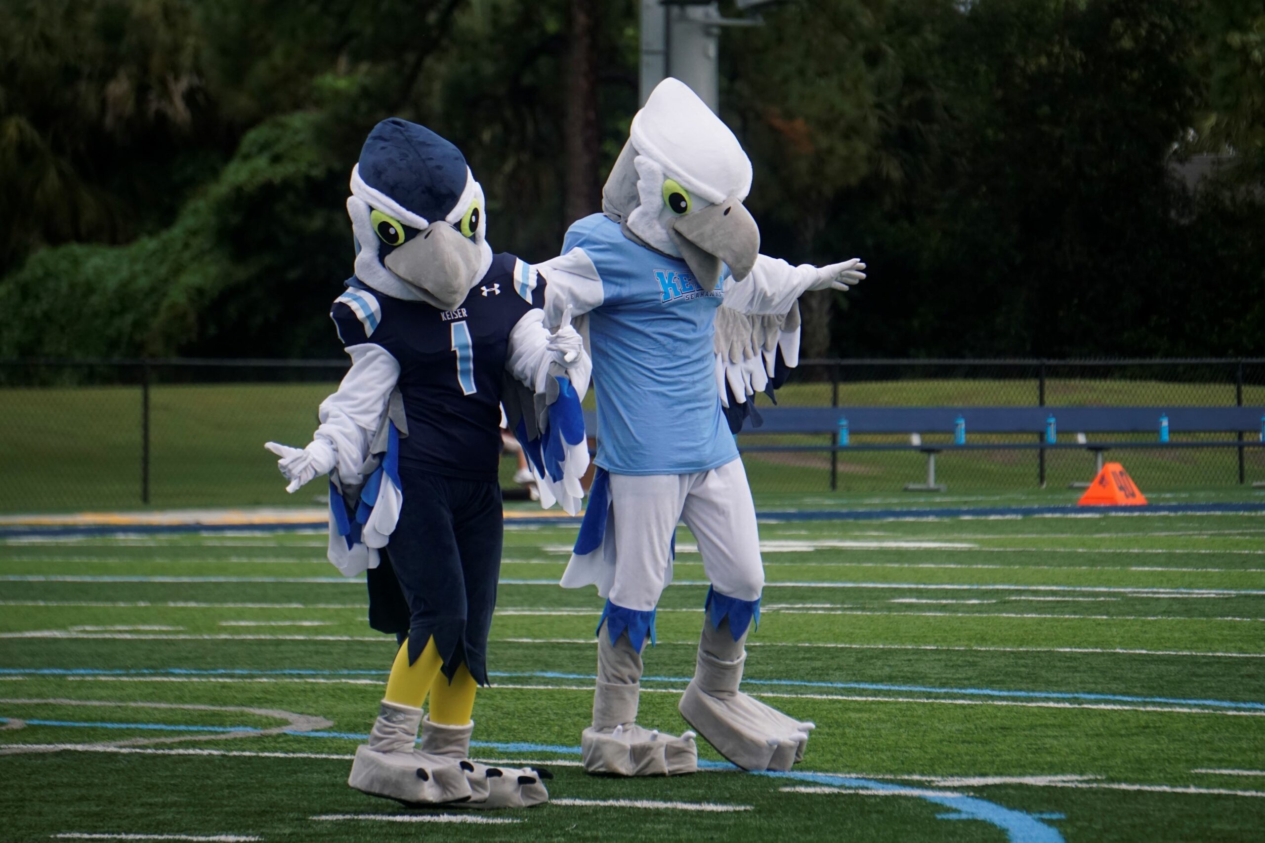 Home - Keiser University Flagship